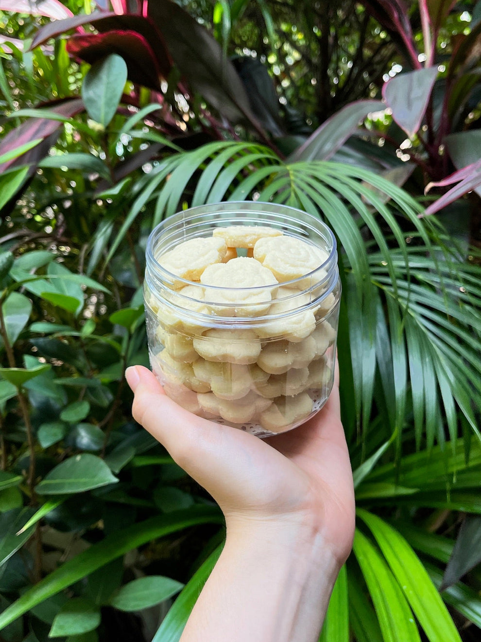 Sugee Cookies – Ambrosia Delights Bakery